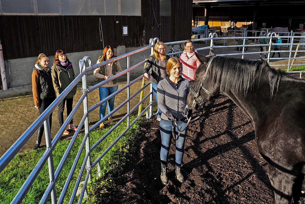 Online Infotag an der HfWU