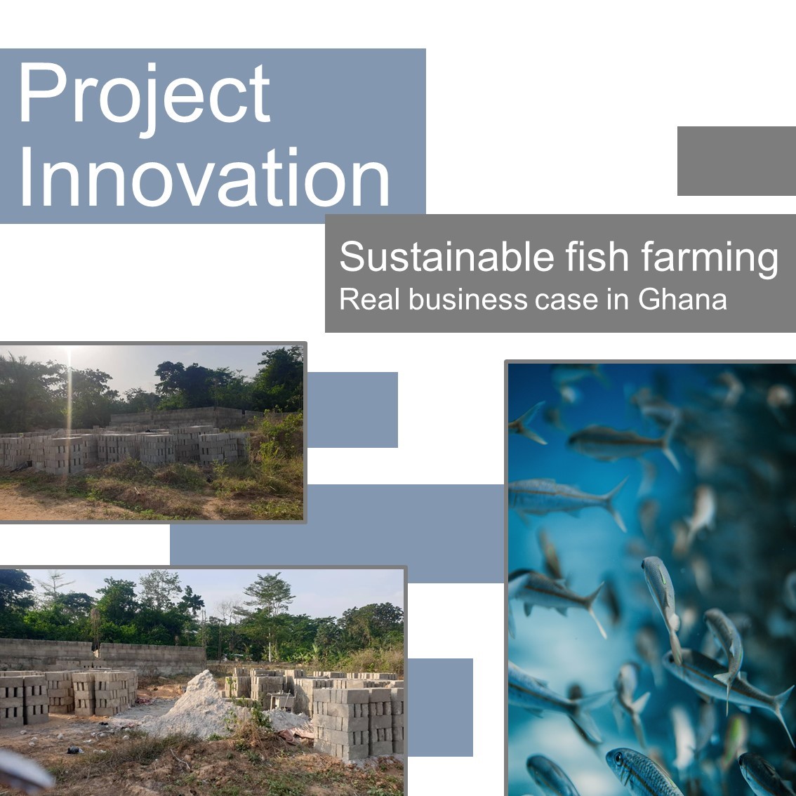 Project Innovation Sustainable Fish Farming